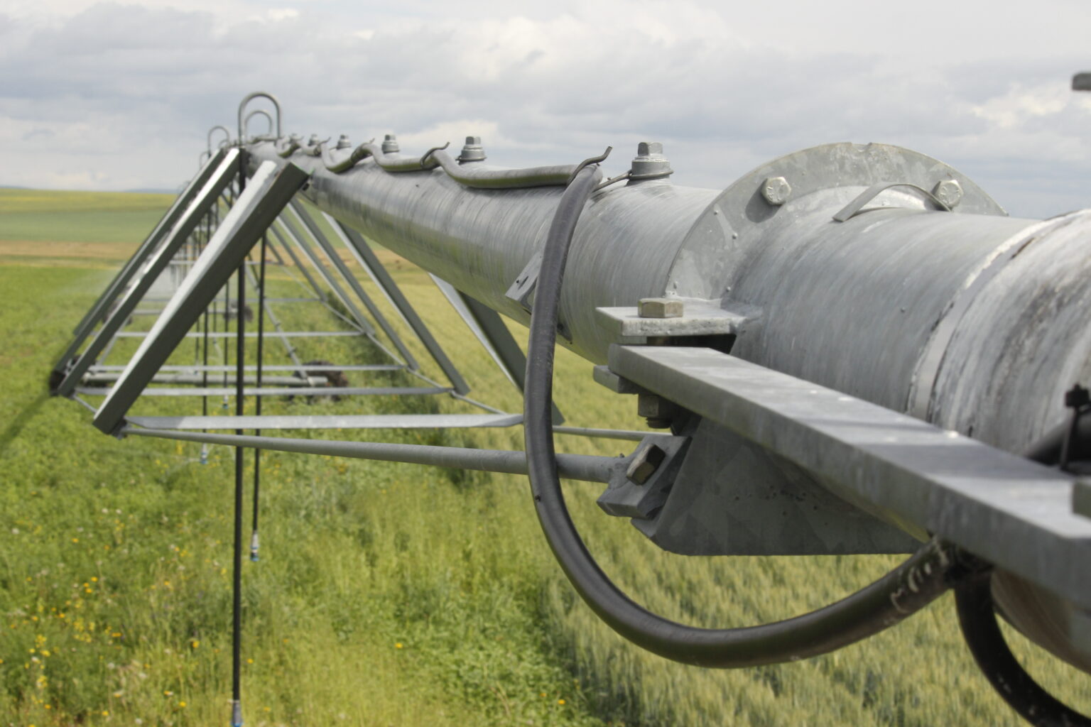 Our Operations - Western Irrigation District