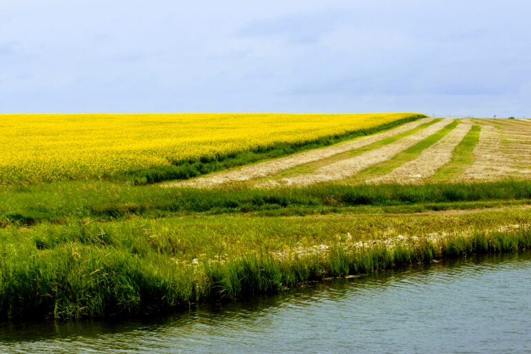 Our Operations - Western Irrigation District