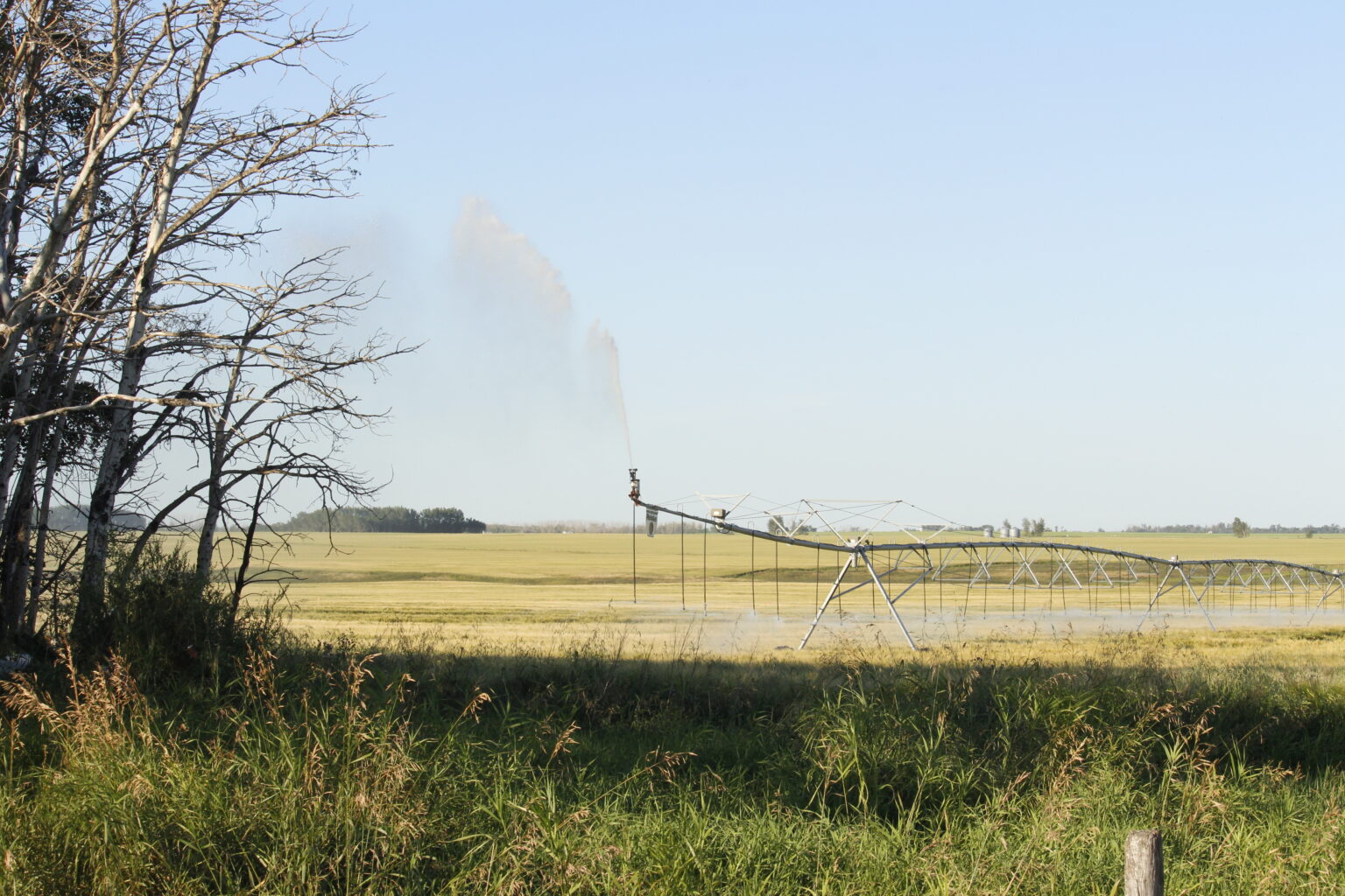 Our Operations - Western Irrigation District