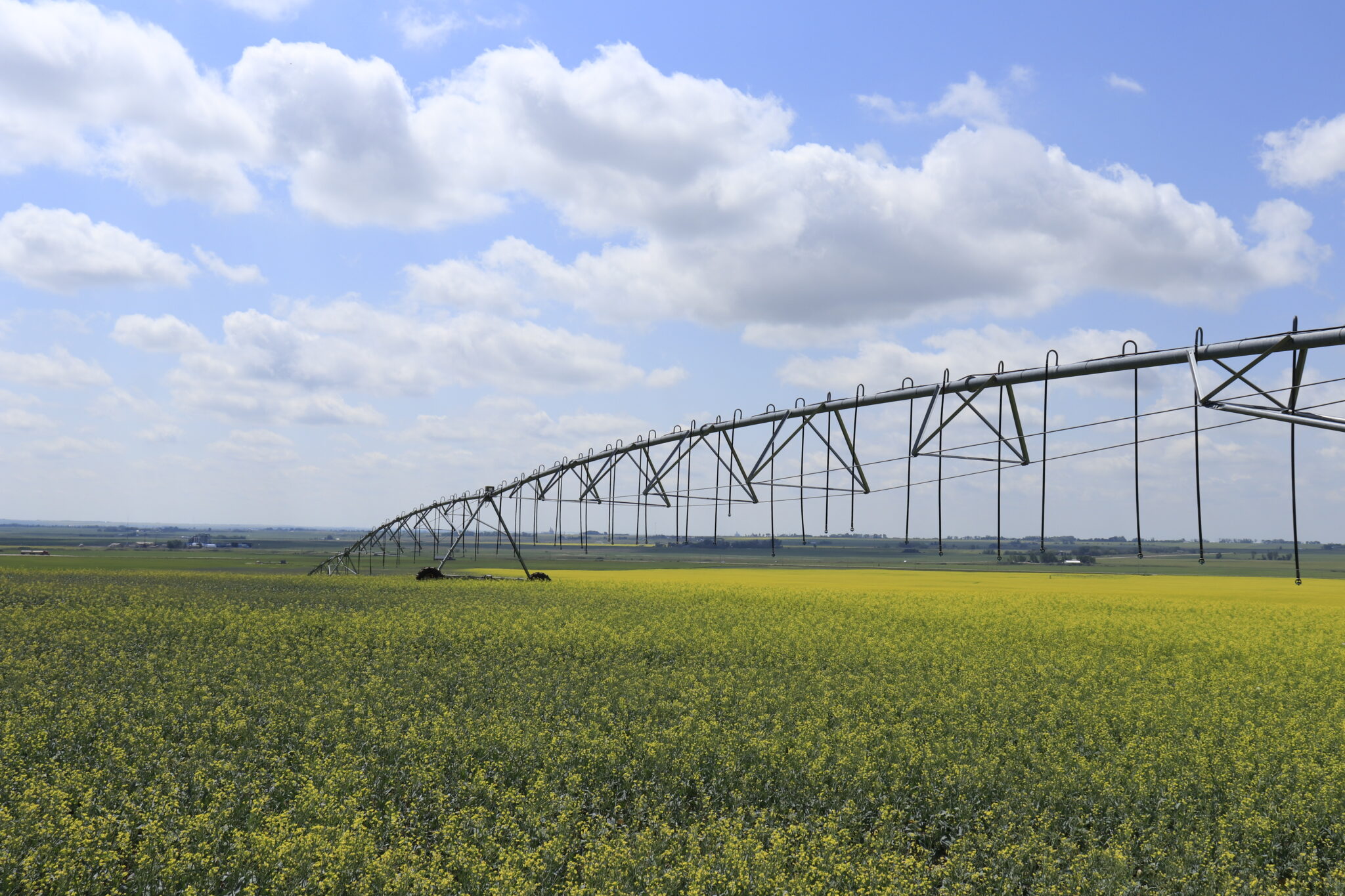 Our Operations - Western Irrigation District